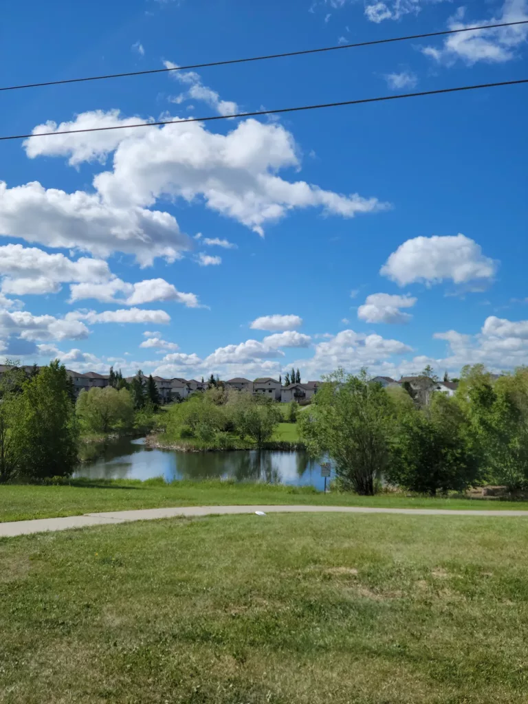 Brintnell, Edmonton | Neighbourhood Profile & Listings