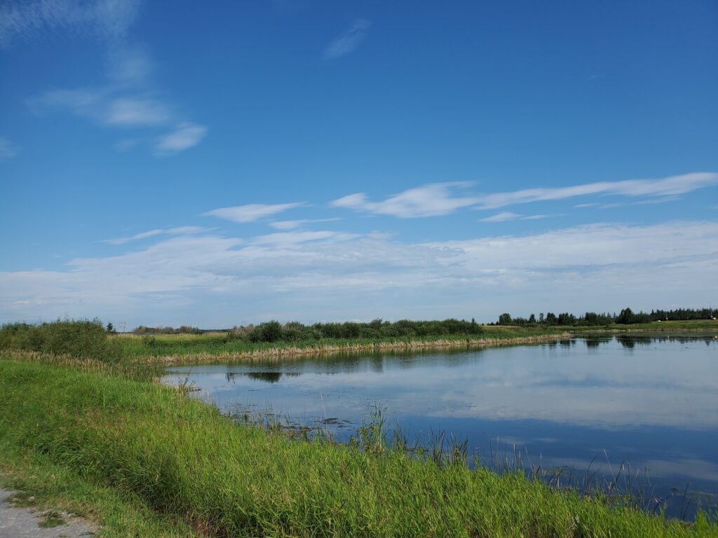 Hawks Ridge, Edmonton | Neighbourhood Profile and Listings